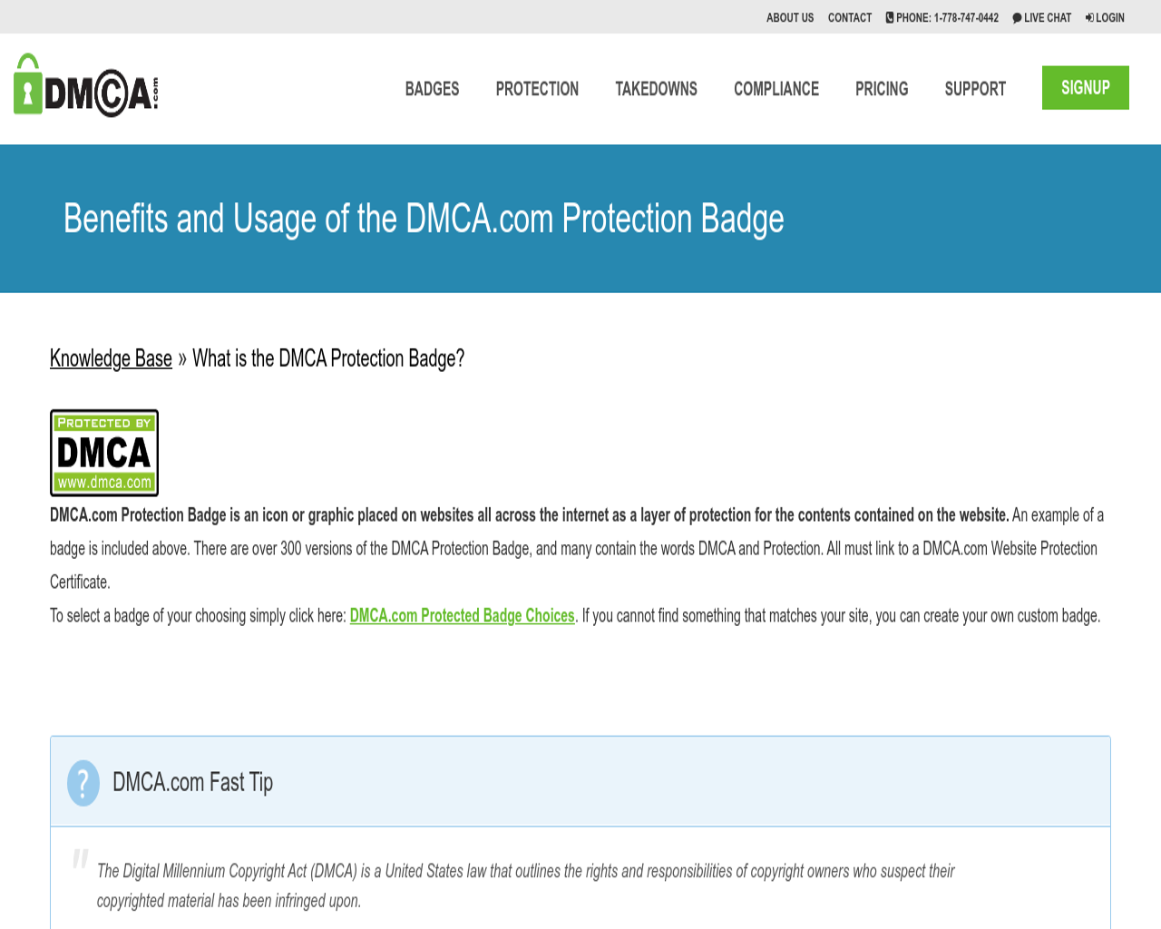 What is the DMCA Protection Badge? What is the DMCA Protection Badge?